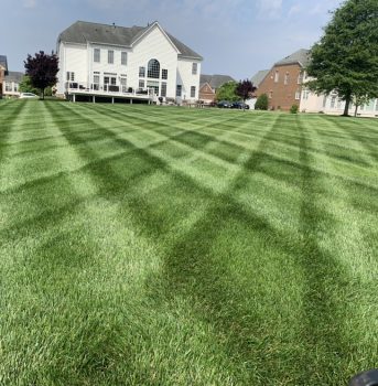 Mayorga Landscaping LLC – Residential Landscaping & Lawn Care