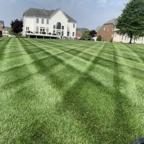 Landscaping – Mayorga Landscaping LLC